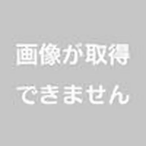 SKY(スカイ)/岩手県紫波郡矢巾町、矢幅駅徒歩8分の2LDK 65.52㎡[2階]の物件情報 | キャッシュバック賃貸(158494104)